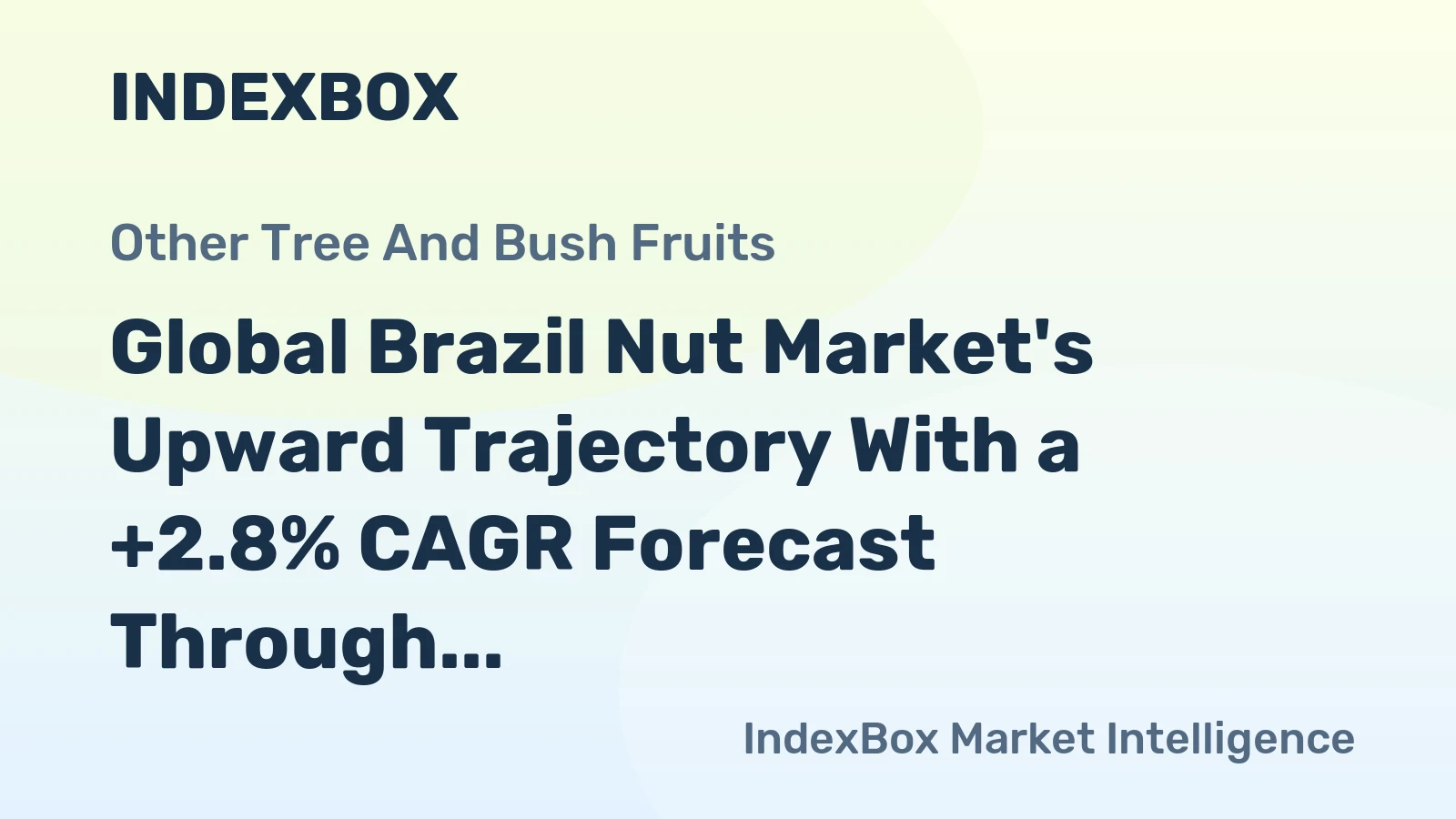 Global Brazil Nut Market's Upward Trajectory With a +2.8% CAGR Forecast Through 2035