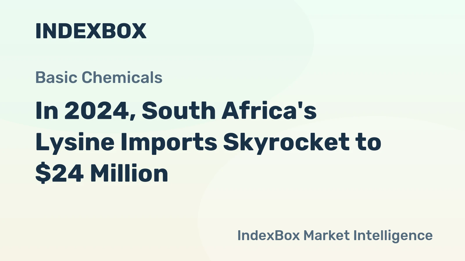 In 2024, South Africa's Lysine Imports Skyrocket to $24 Million