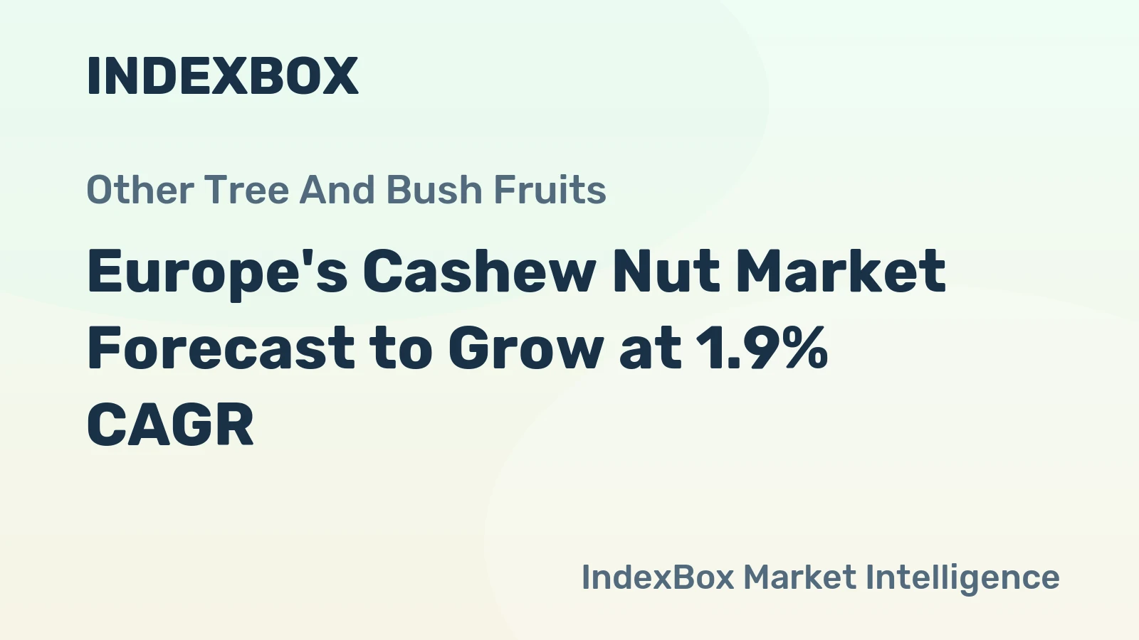 Europe's Cashew Nut Market Forecast to Grow at 1.9% CAGR