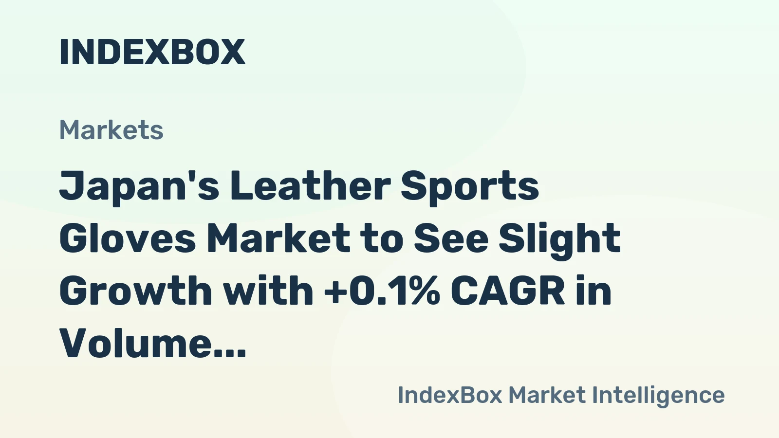 Japan's Leather Sports Gloves Market to See Slight Growth with +0.1% CAGR in Volume and +0.2% CAGR in Market Value by 2035