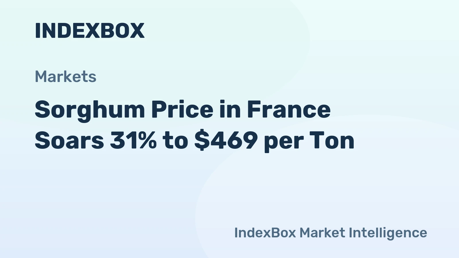 Sorghum Price in France Soars 31% to $469 per Ton