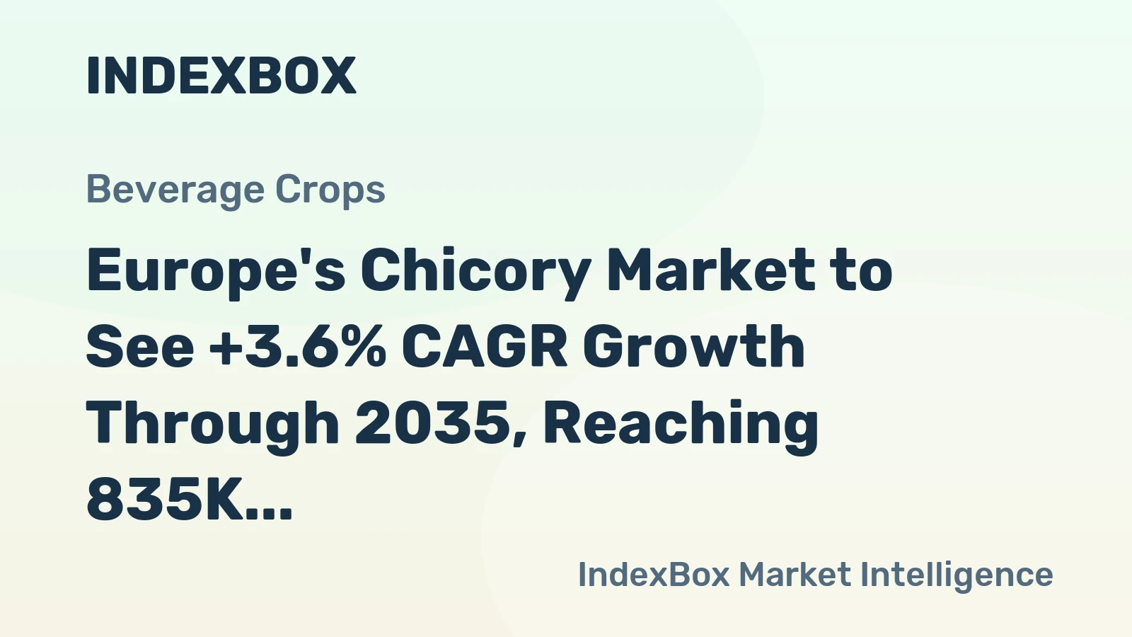 Europe's Chicory Market to See +3.6% CAGR Growth Through 2035, Reaching 835K Tons