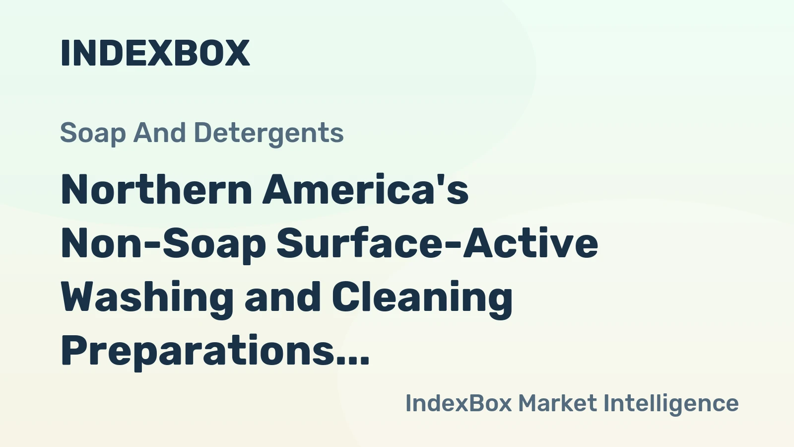 Northern America's Non-Soap Surface-Active Washing and Cleaning Preparations Market to Grow at a CAGR of +1.7%