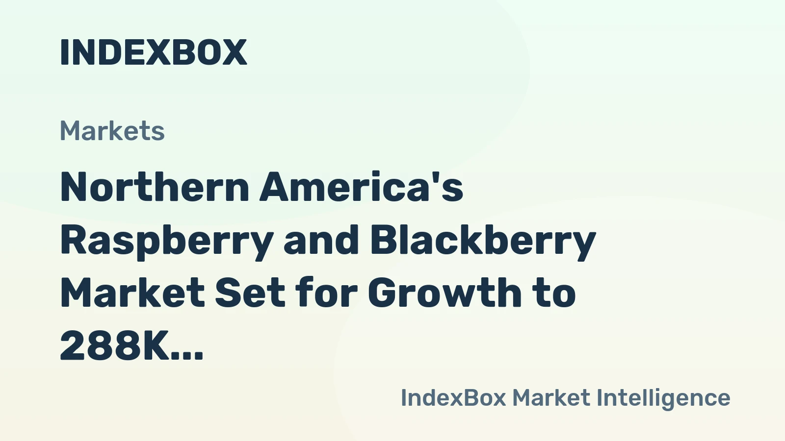 Northern America's Raspberry and Blackberry Market Set for Growth to 288K Tons and $2.6B
