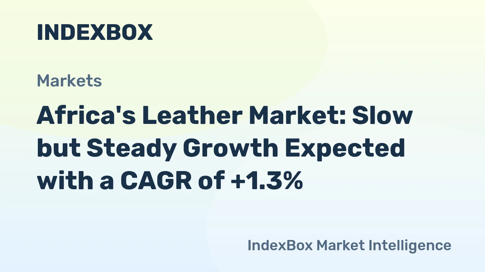 Africa's Leather Market: Slow but Steady Growth Expected with a CAGR of +1.3%