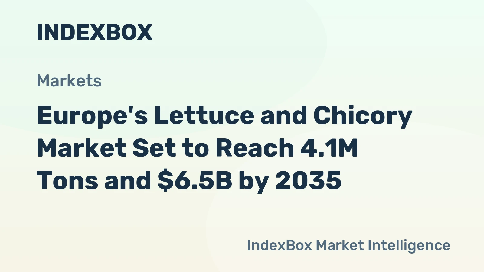 Europe's Lettuce and Chicory Market Set to Reach 4.1M Tons and $6.5B by 2035