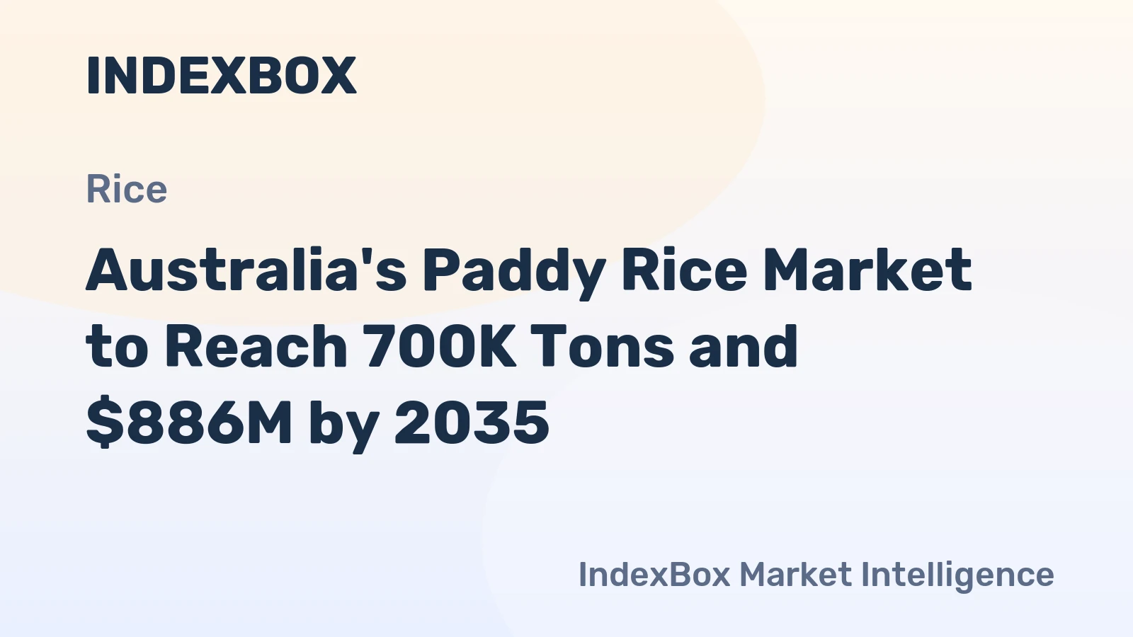 Australia's Paddy Rice Market to Reach 700K Tons and $886M by 2035