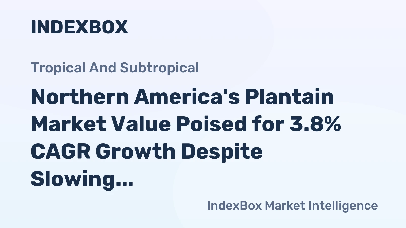 Northern America's Plantain Market Value Poised for 3.8% CAGR Growth Despite Slowing Volume Expansion