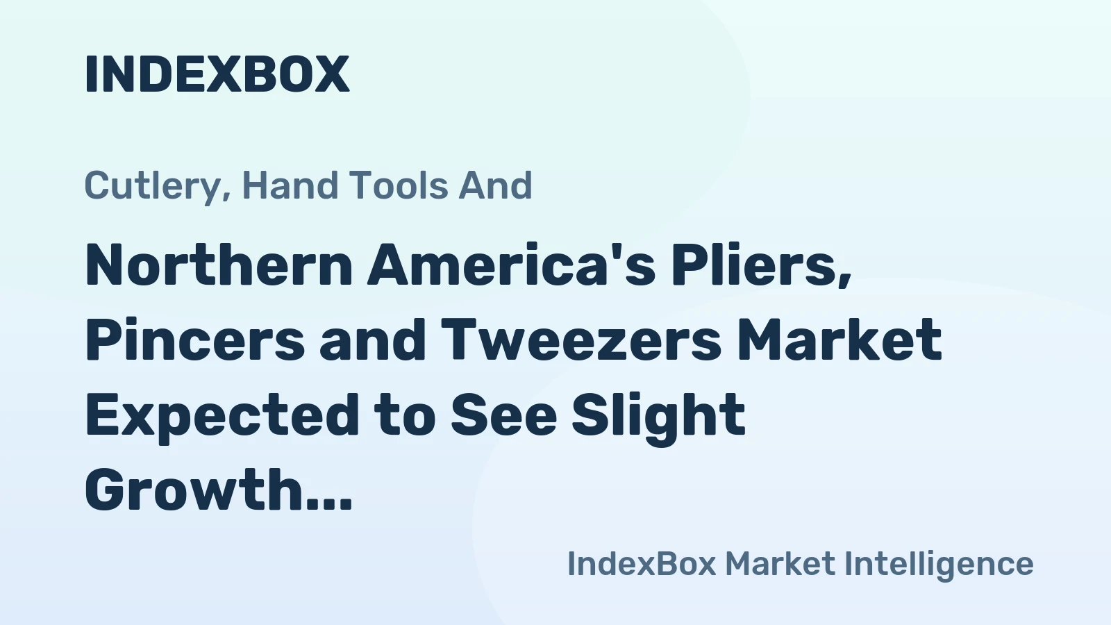 Northern America's Pliers, Pincers and Tweezers Market Expected to See Slight Growth with CAGR of +0.5%