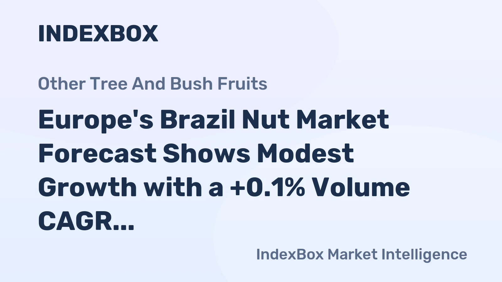 Europe's Brazil Nut Market Forecast Shows Modest Growth with a +0.1% Volume CAGR