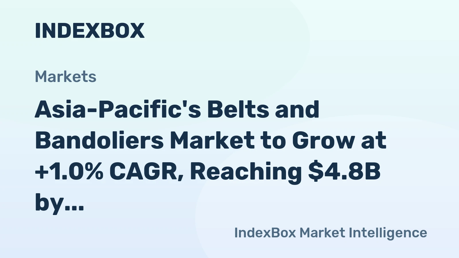 Asia-Pacific's Belts and Bandoliers Market to Grow at +1.0% CAGR, Reaching $4.8B by 2035