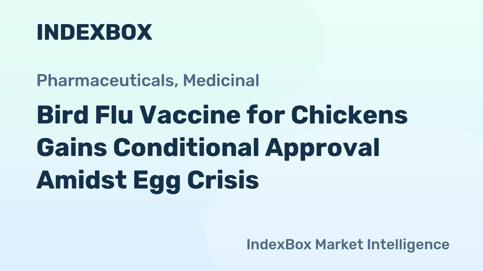 Bird Flu Vaccine for Chickens Gains Conditional Approval Amidst Egg Crisis