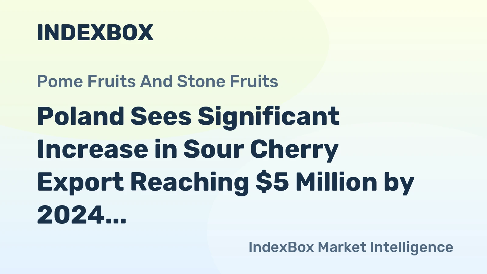 Poland Sees Significant Increase in Sour Cherry Export Reaching $5 Million by 2024