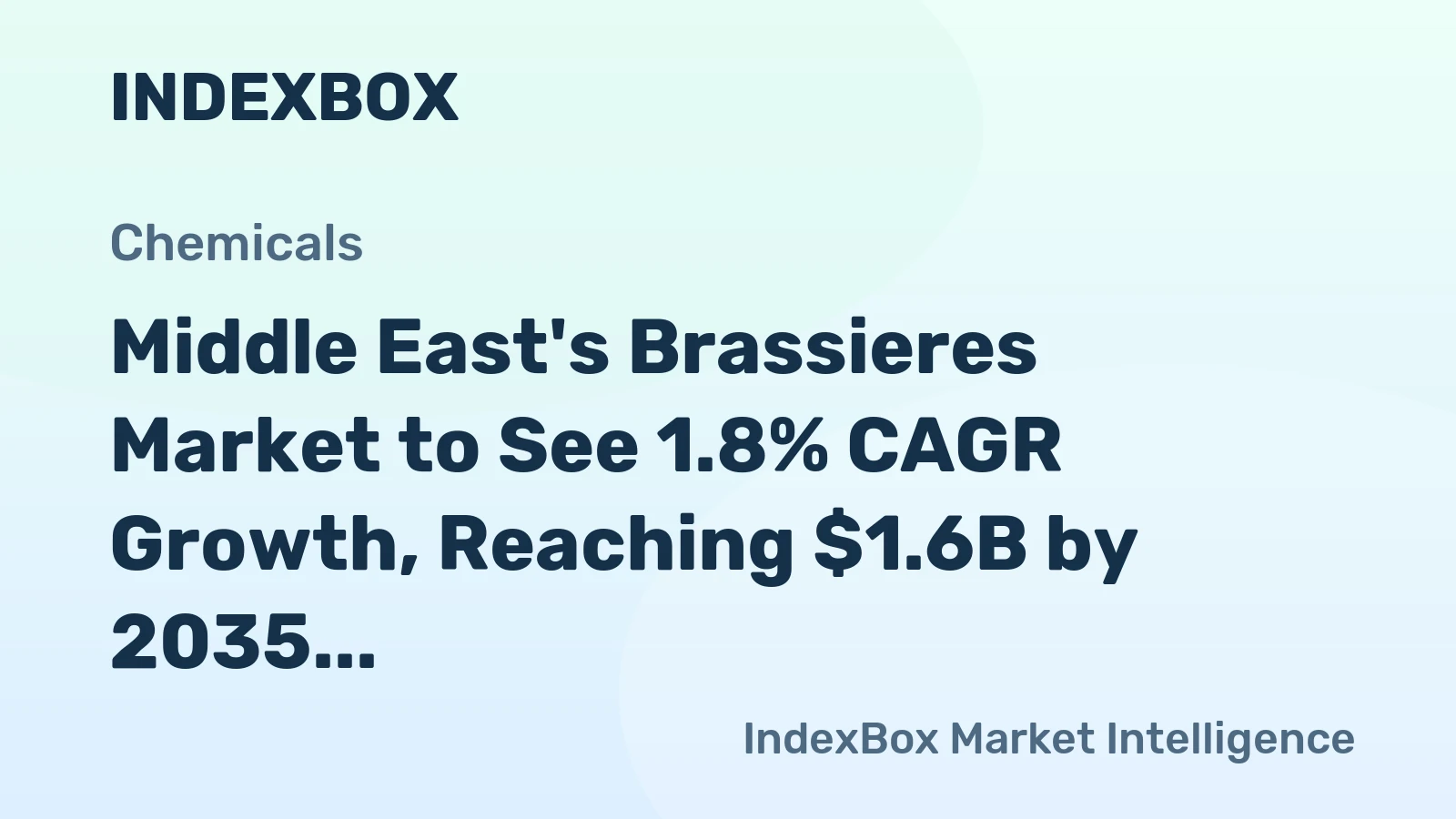 Middle East's Brassieres Market to See 1.8% CAGR Growth, Reaching $1.6B by 2035