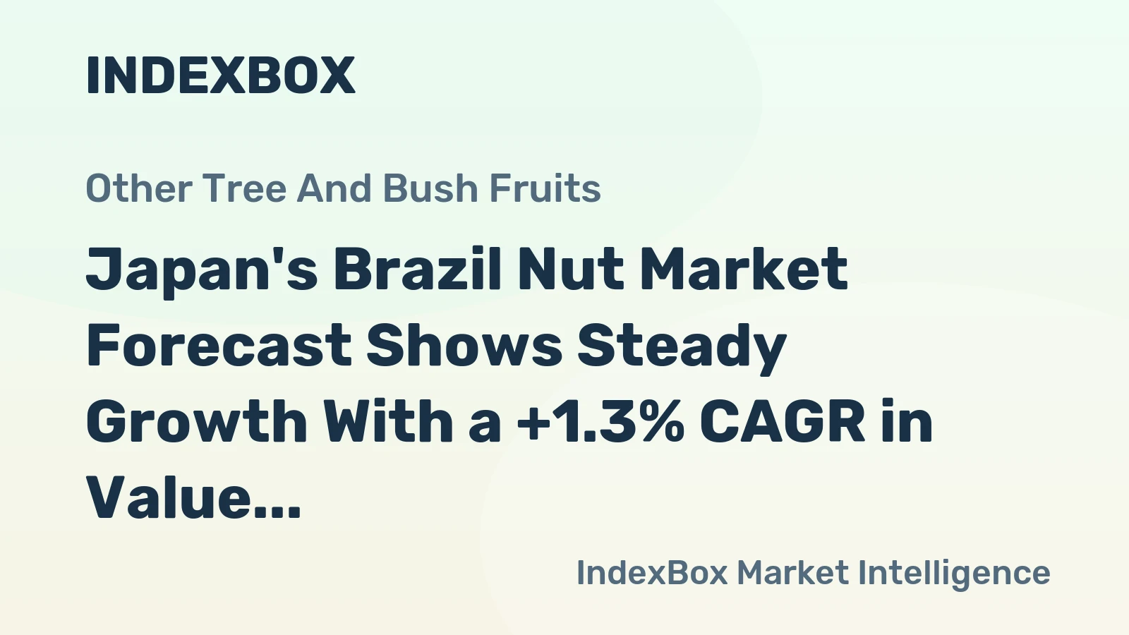 Japan's Brazil Nut Market Forecast Shows Steady Growth With a +1.3% CAGR in Value
