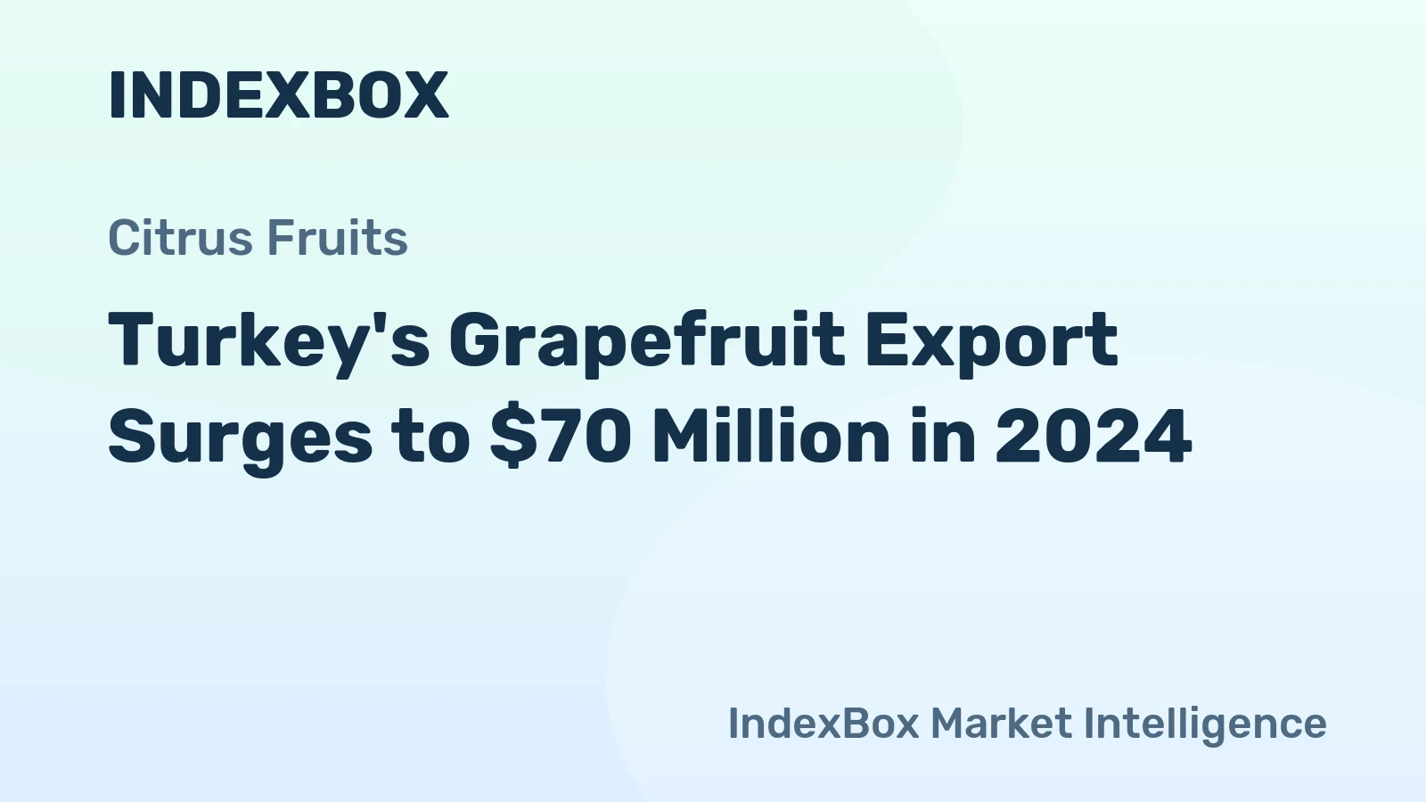 Turkey's Grapefruit Export Surges to $70 Million in 2024