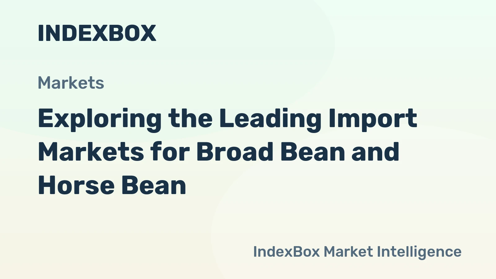 Exploring the Leading Import Markets for Broad Bean and Horse Bean