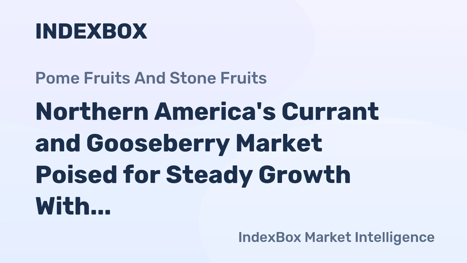 Northern America's Currant and Gooseberry Market Poised for Steady Growth With 5.3% CAGR Through 2035