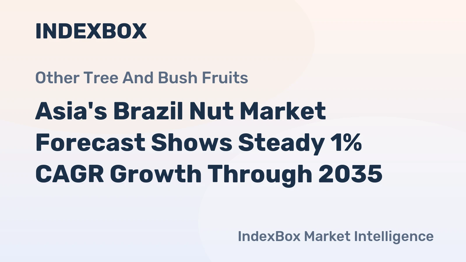Asia's Brazil Nut Market Forecast Shows Steady 1% CAGR Growth Through 2035