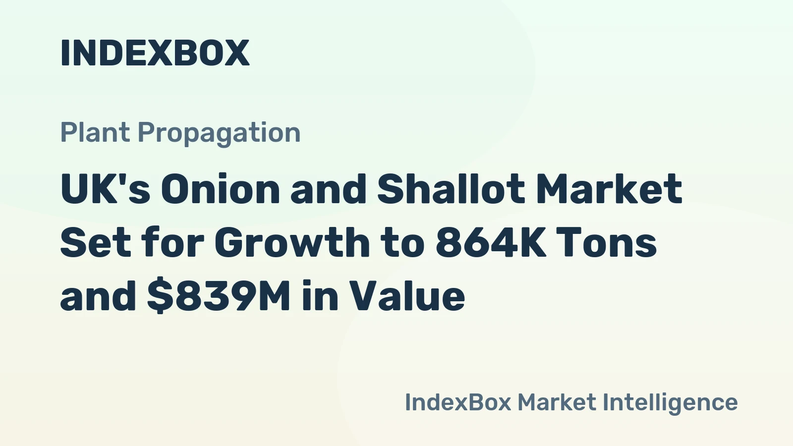 UK's Onion and Shallot Market Set for Growth to 864K Tons and $839M in Value