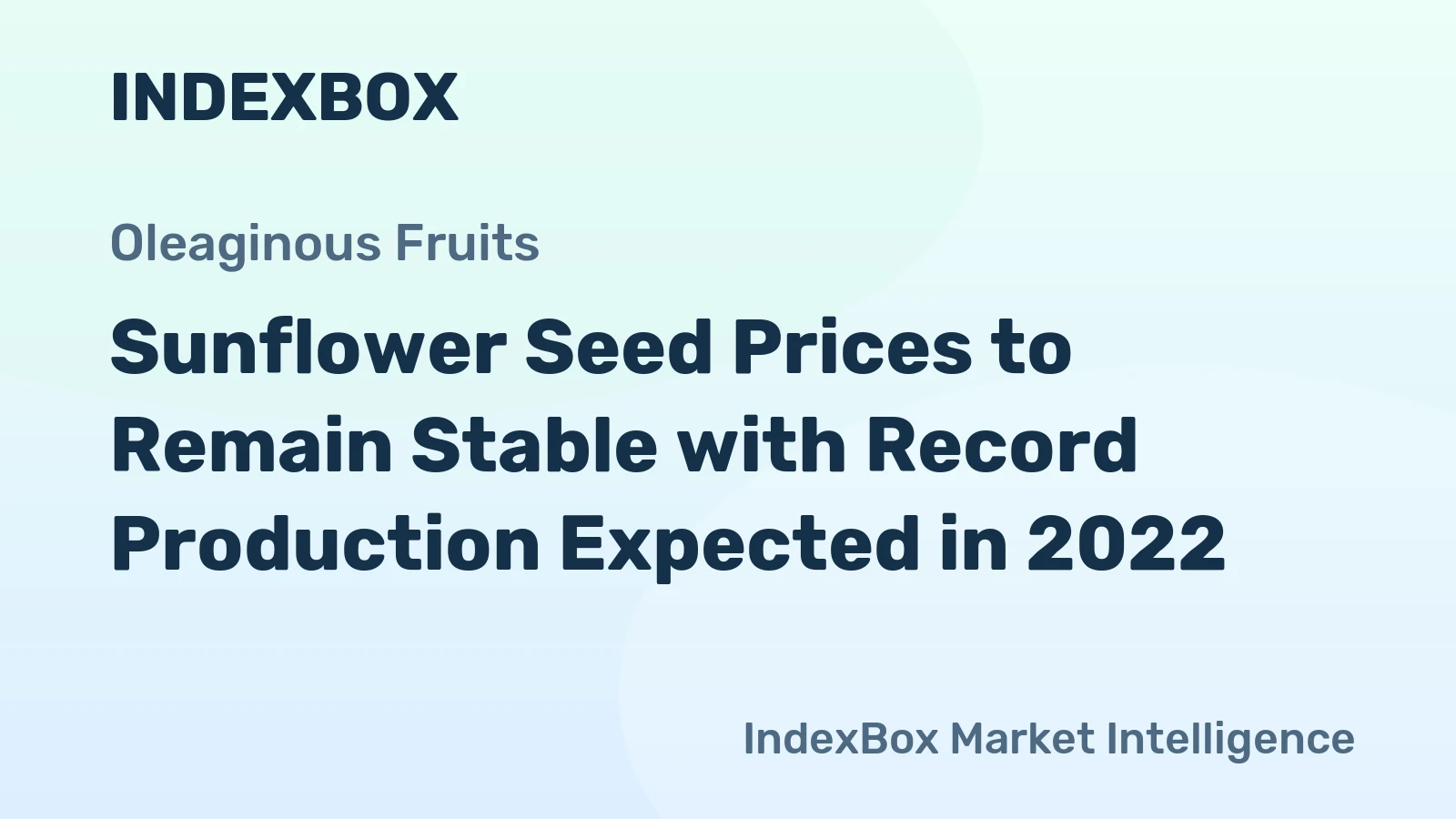 Sunflower Seed Prices to Remain Stable with Record Production Expected in 2022