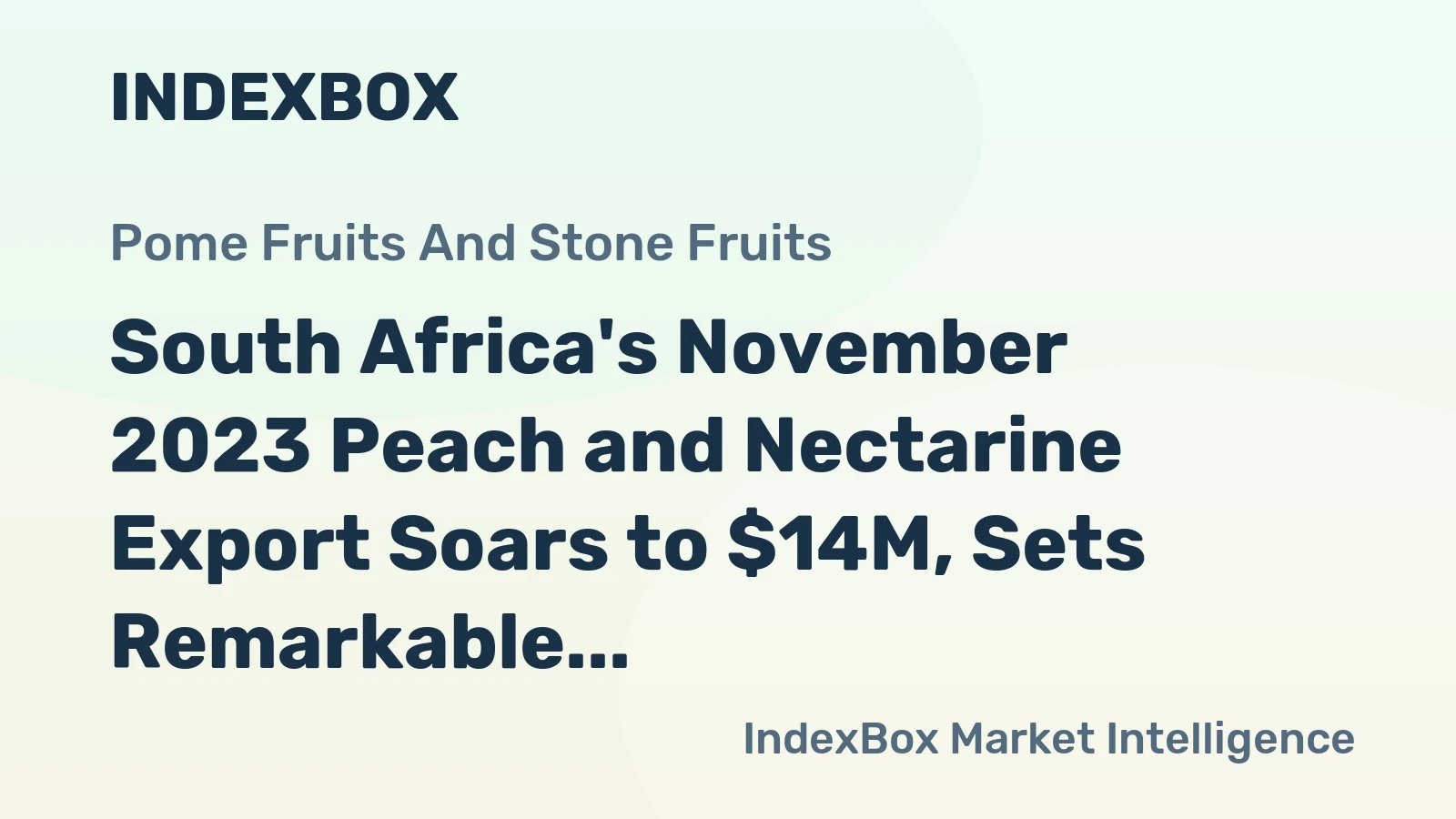 South Africa's November 2023 Peach and Nectarine Export Soars to $14M, Sets Remarkable Record
