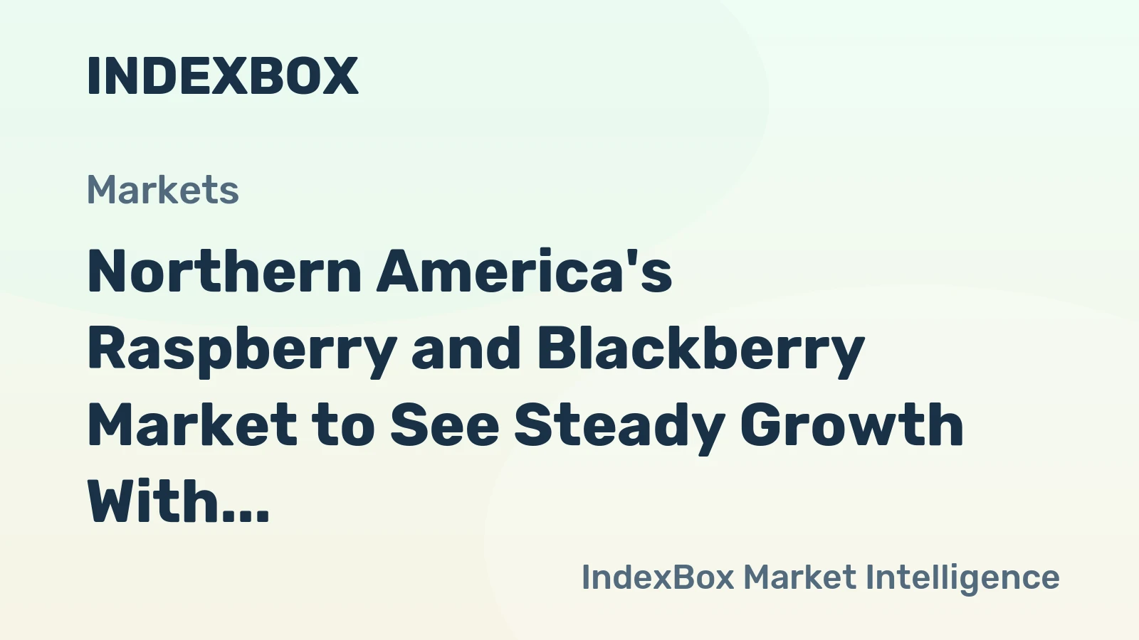Northern America's Raspberry and Blackberry Market to See Steady Growth With a 3.3% CAGR Through 2035