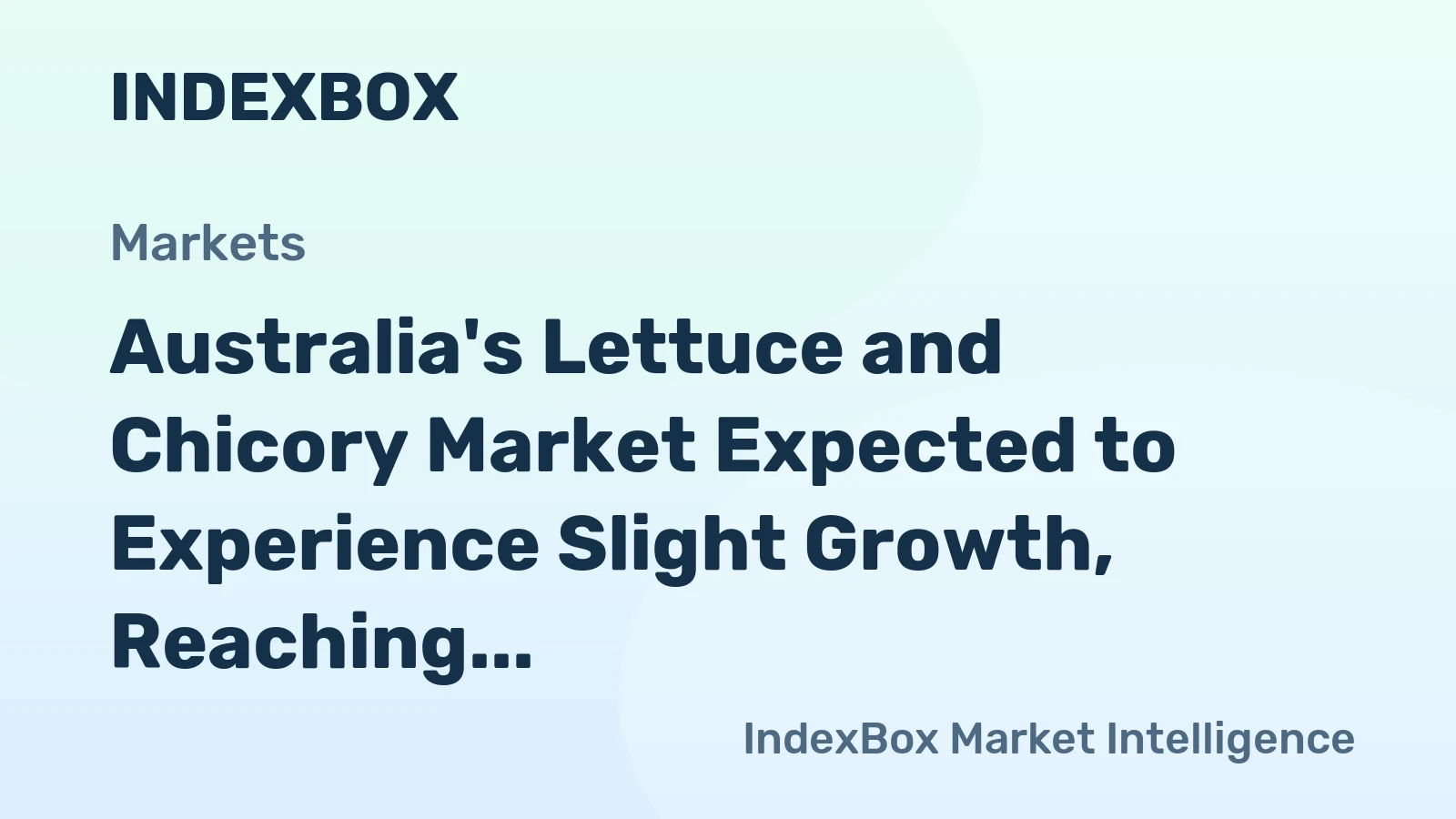 Australia's Lettuce and Chicory Market Expected to Experience Slight Growth, Reaching 144K Tons and $218M by 2035
