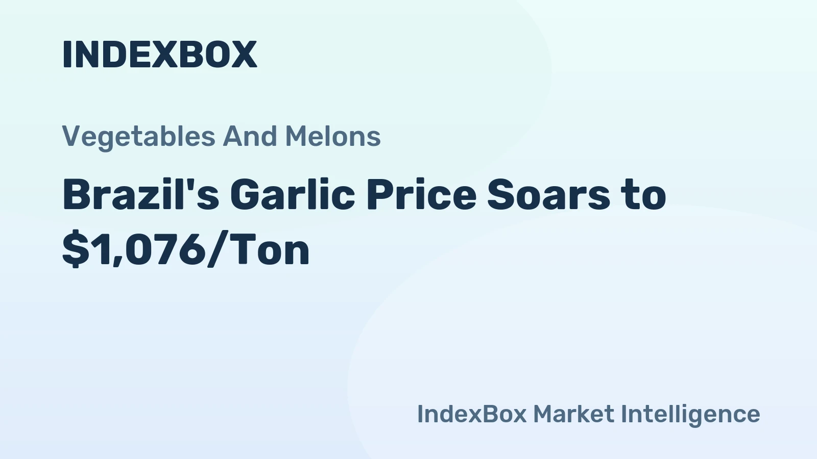 Brazil's Garlic Price Soars to $1,076/Ton