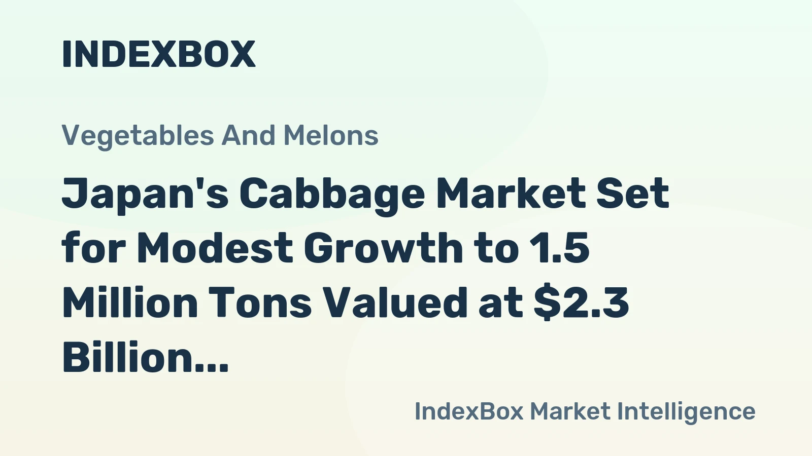 Japan's Cabbage Market Set for Modest Growth to 1.5 Million Tons Valued at $2.3 Billion