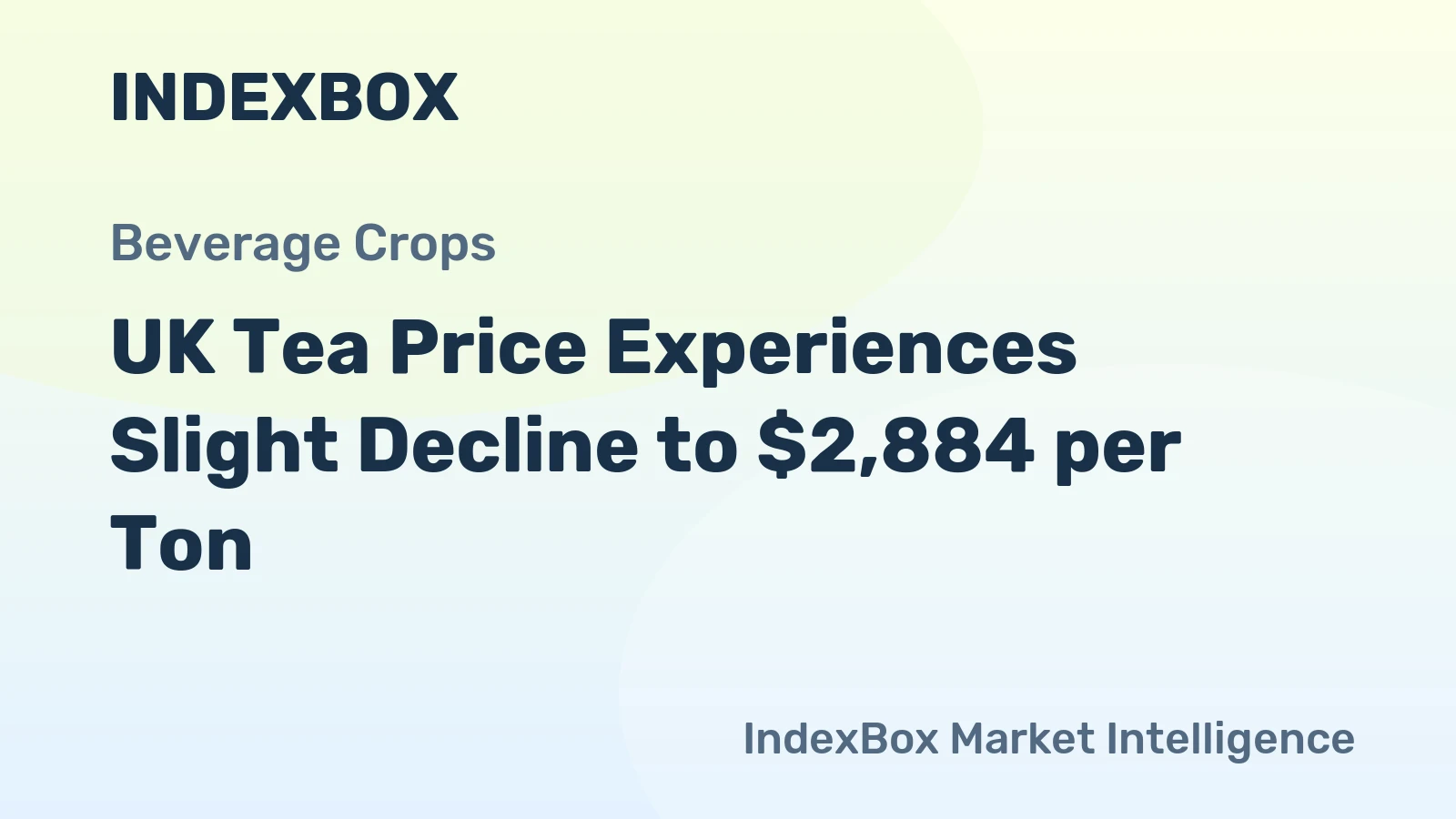 UK Tea Price Experiences Slight Decline to $2,884 per Ton
