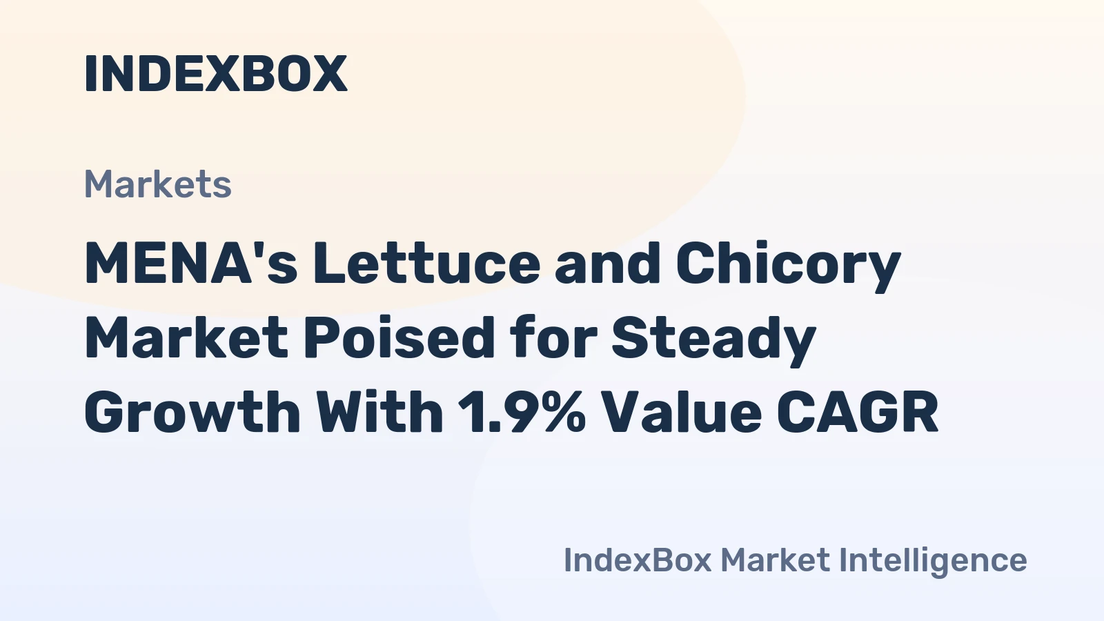 MENA's Lettuce and Chicory Market Poised for Steady Growth With 1.9% Value CAGR