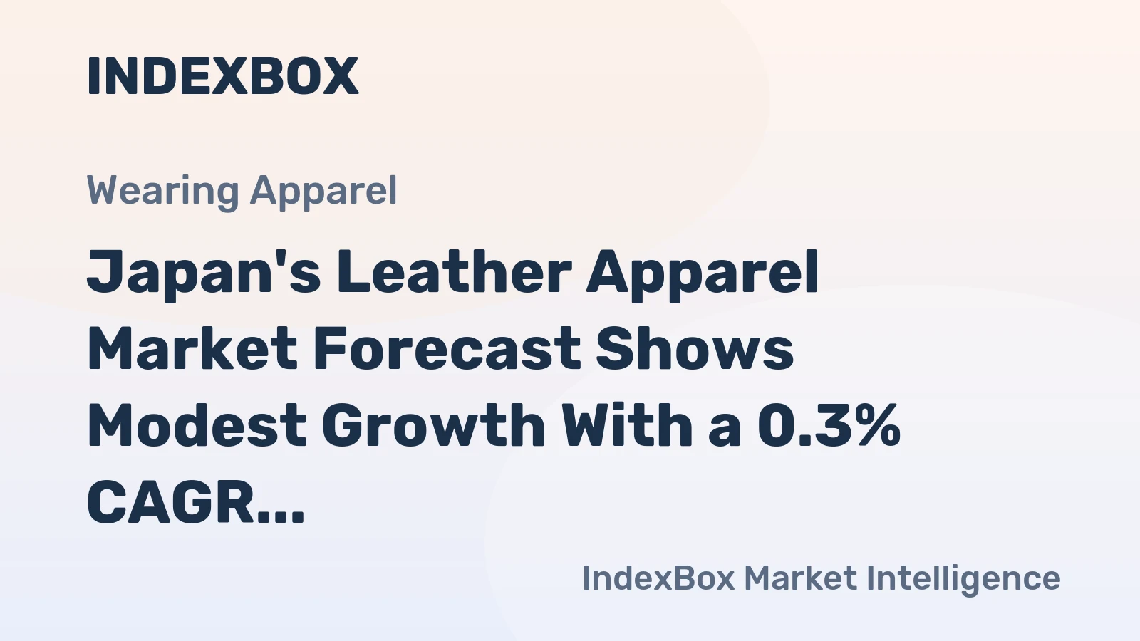 Japan's Leather Apparel Market Forecast Shows Modest Growth With a 0.3% CAGR in Value
