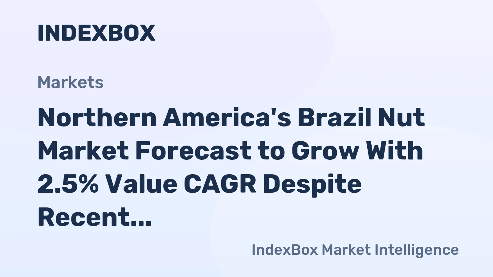 Northern America's Brazil Nut Market Forecast to Grow With 2.5% Value CAGR Despite Recent Contraction