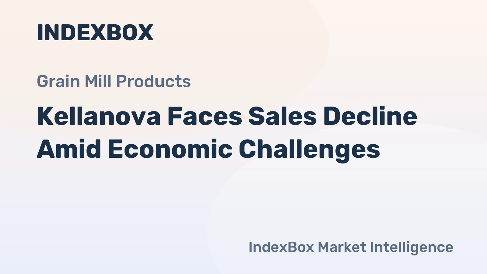 Kellanova Faces Sales Decline Amid Economic Challenges