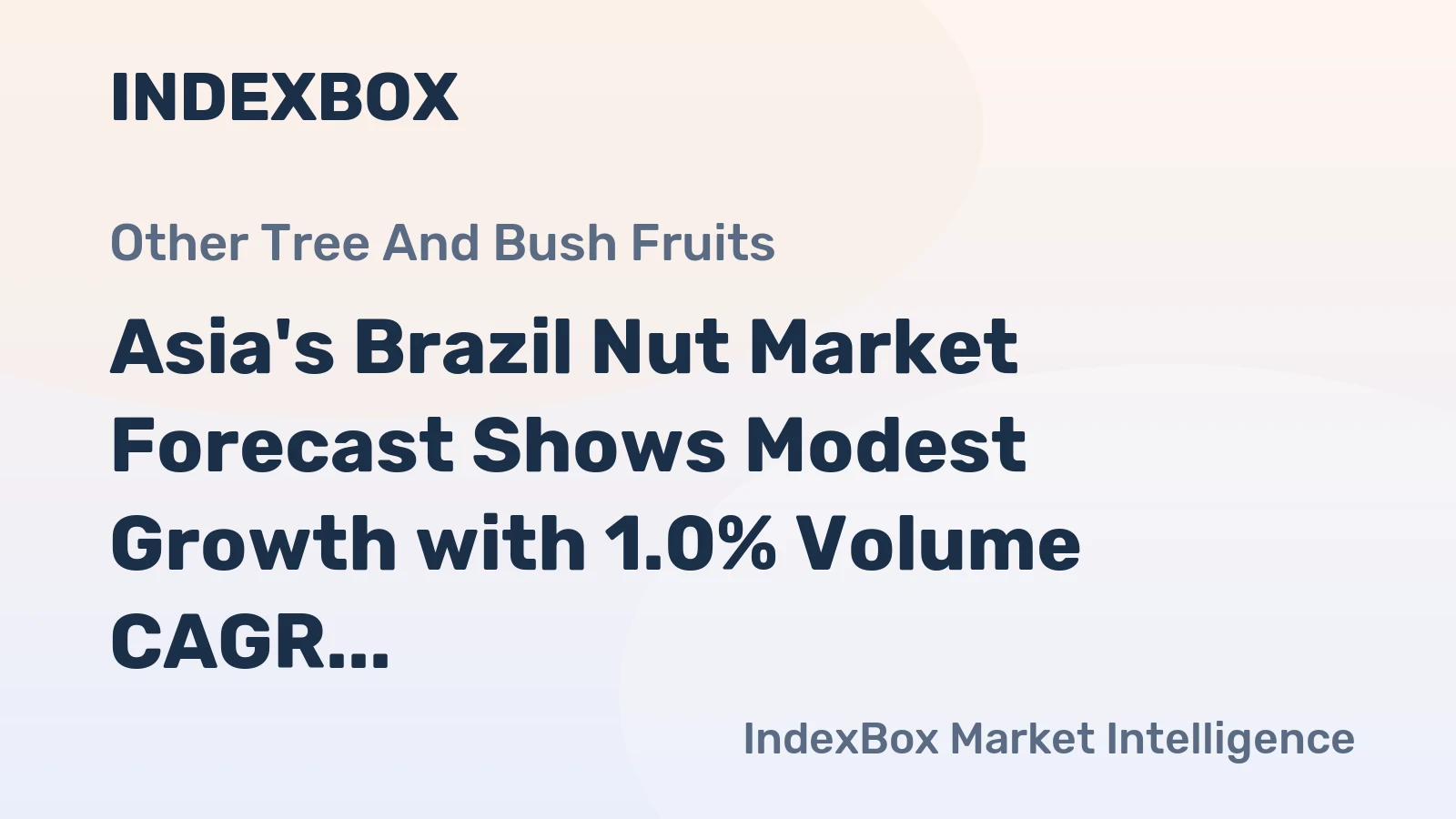 Asia's Brazil Nut Market Forecast Shows Modest Growth with 1.0% Volume CAGR Through 2035