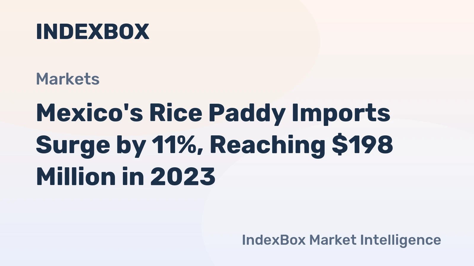Mexico's Rice Paddy Imports Surge by 11%, Reaching $198 Million in 2023.
