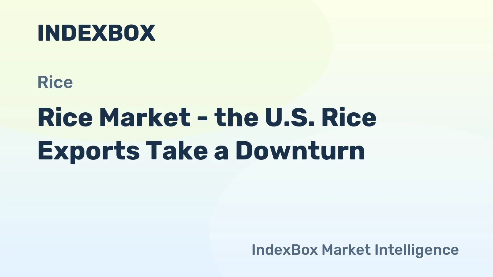 Rice Market - the U.S. Rice Exports Take a Downturn