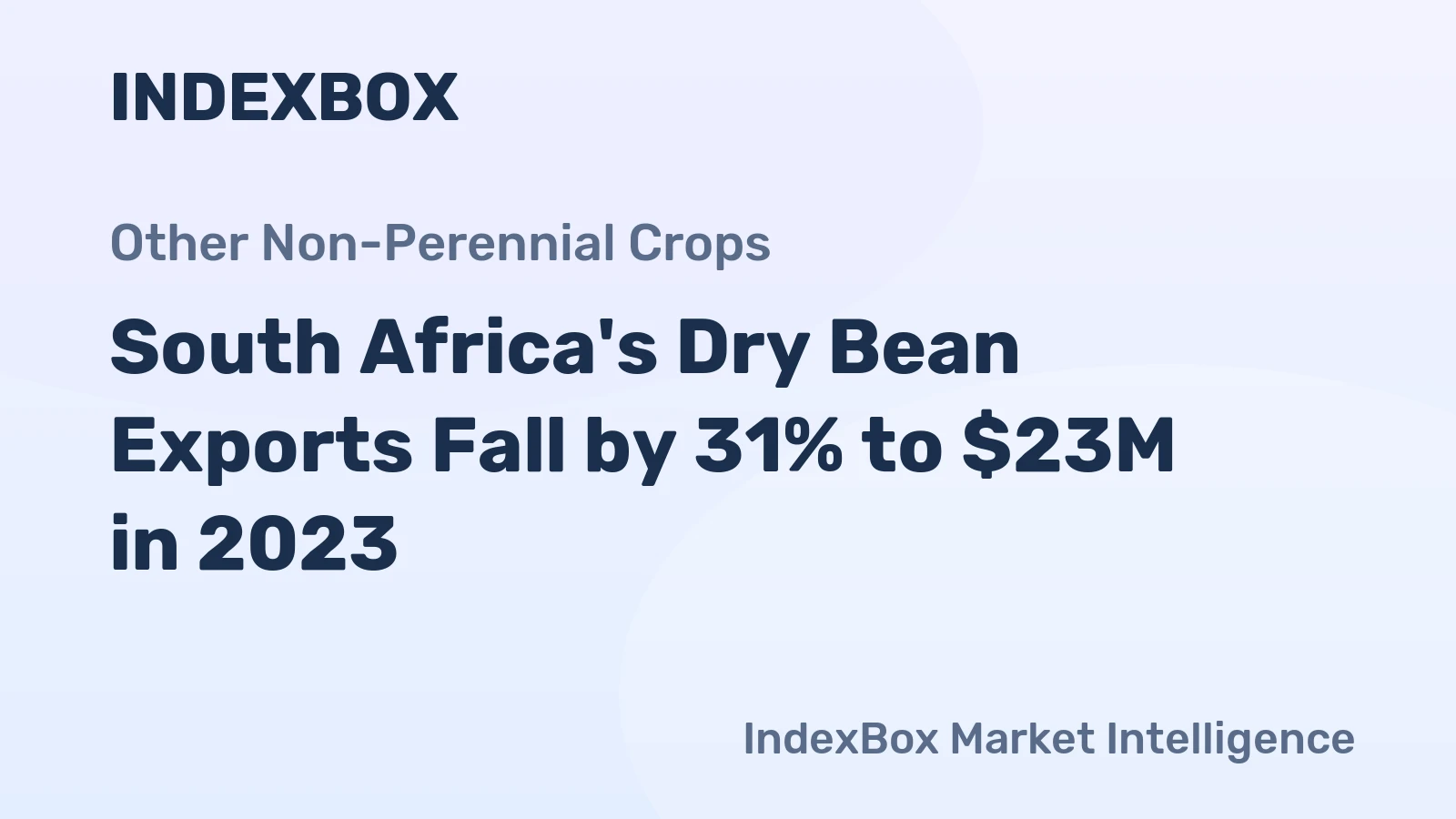 South Africa's Dry Bean Exports Fall by 31% to $23M in 2023