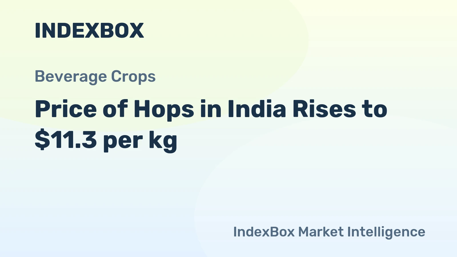 Price of Hops in India Rises to $11.3 per kg