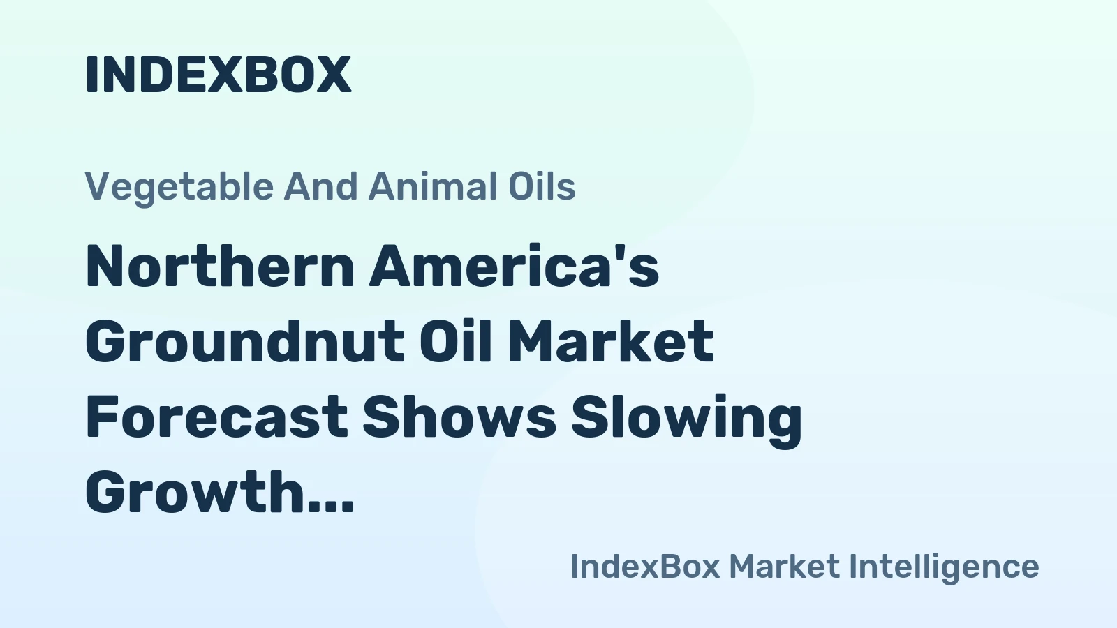 Northern America's Groundnut Oil Market Forecast Shows Slowing Growth With a +0.9% Value CAGR