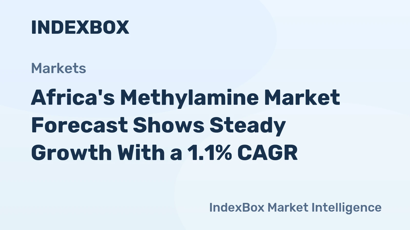 Africa's Methylamine Market Forecast Shows Steady Growth With a 1.1% CAGR