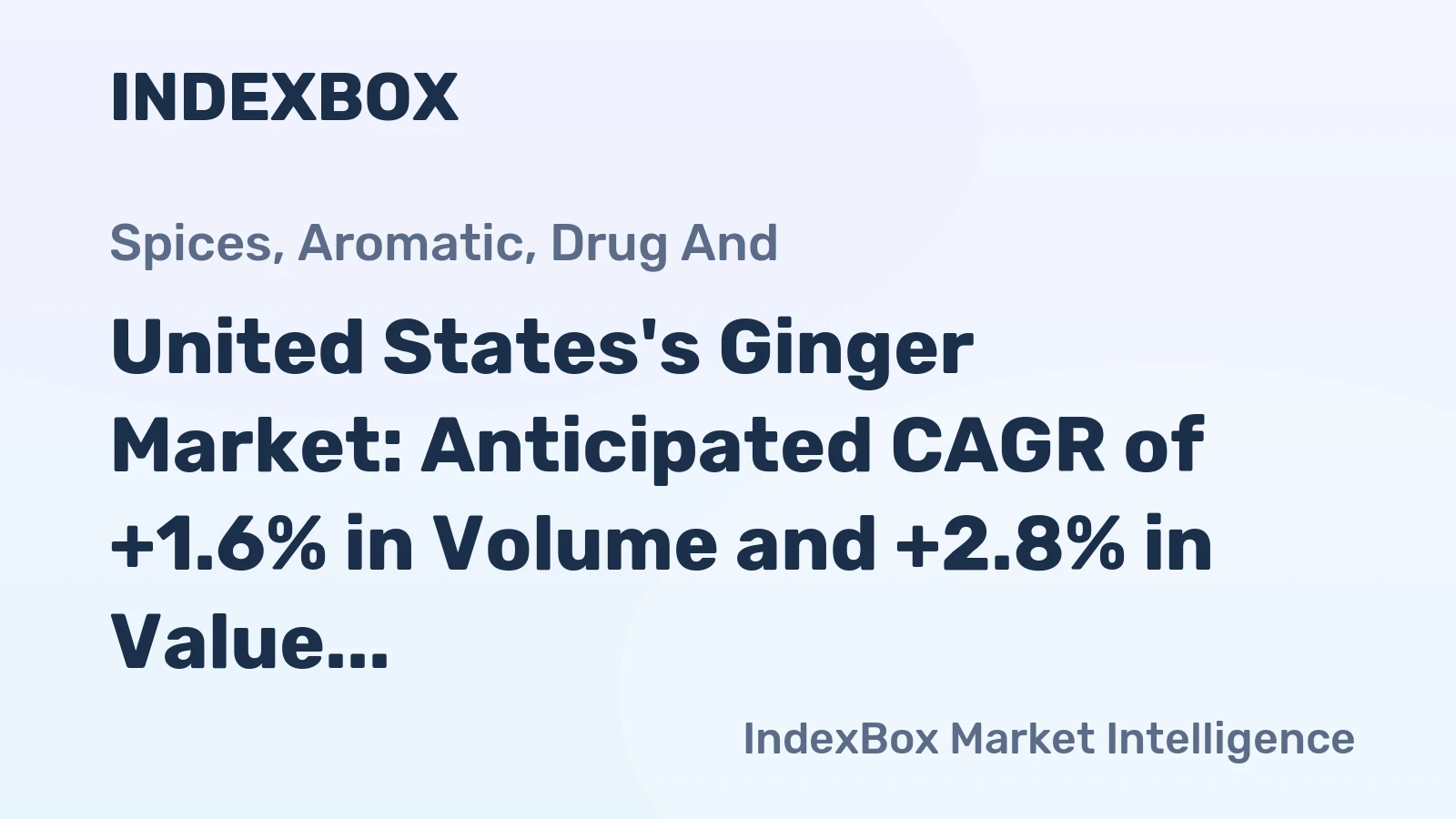 United States's Ginger Market: Anticipated CAGR of +1.6% in Volume and +2.8% in Value by 2035