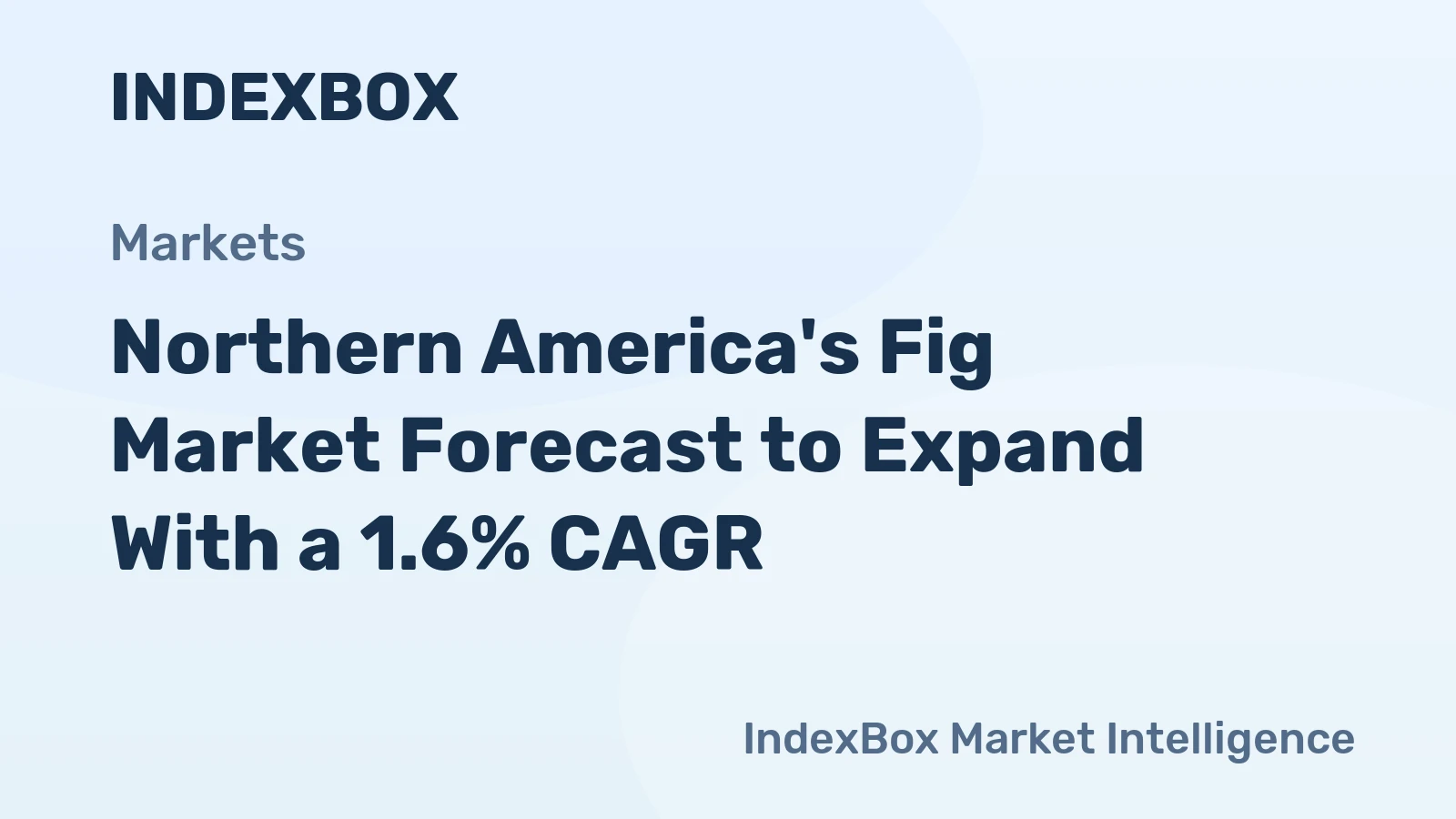 Northern America's Fig Market Forecast to Expand With a 1.6% CAGR