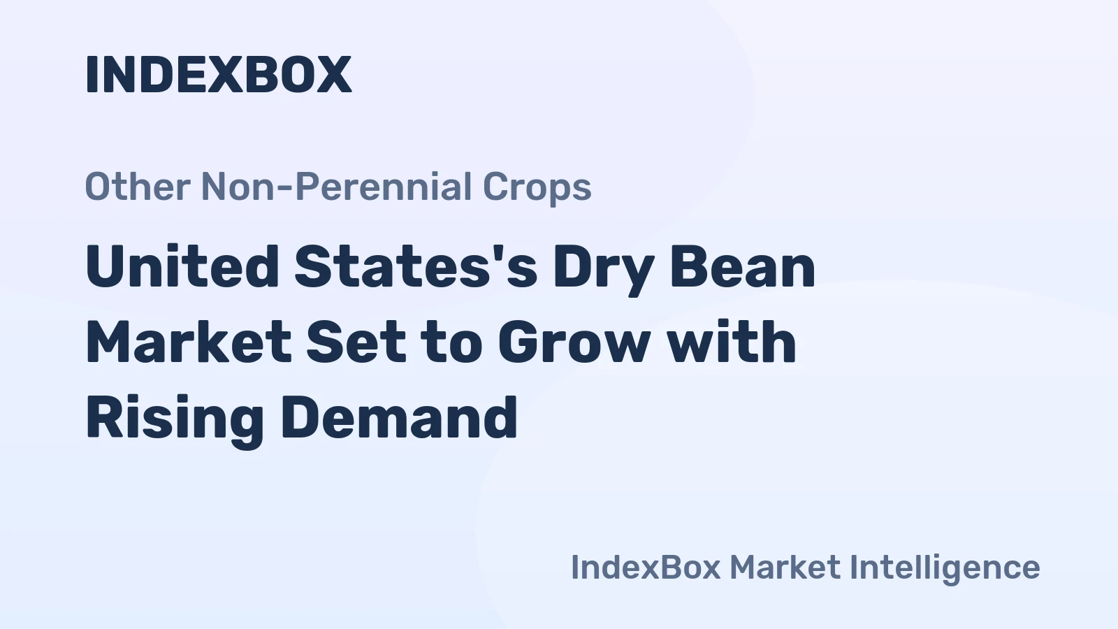 United States's Dry Bean Market Set to Grow with Rising Demand