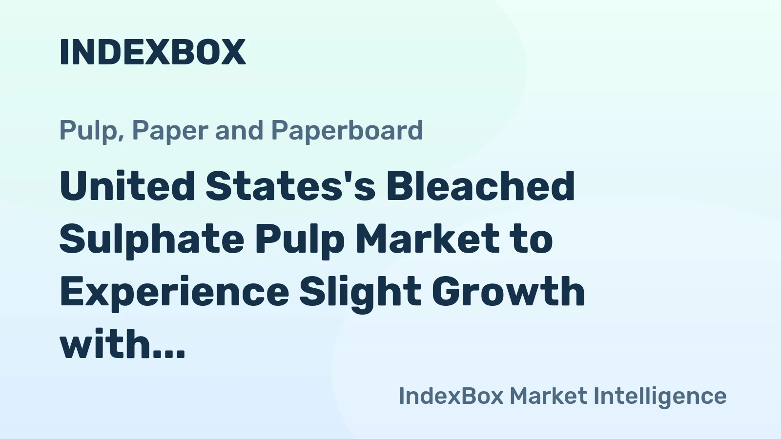 United States's Bleached Sulphate Pulp Market to Experience Slight Growth with +1.1% CAGR