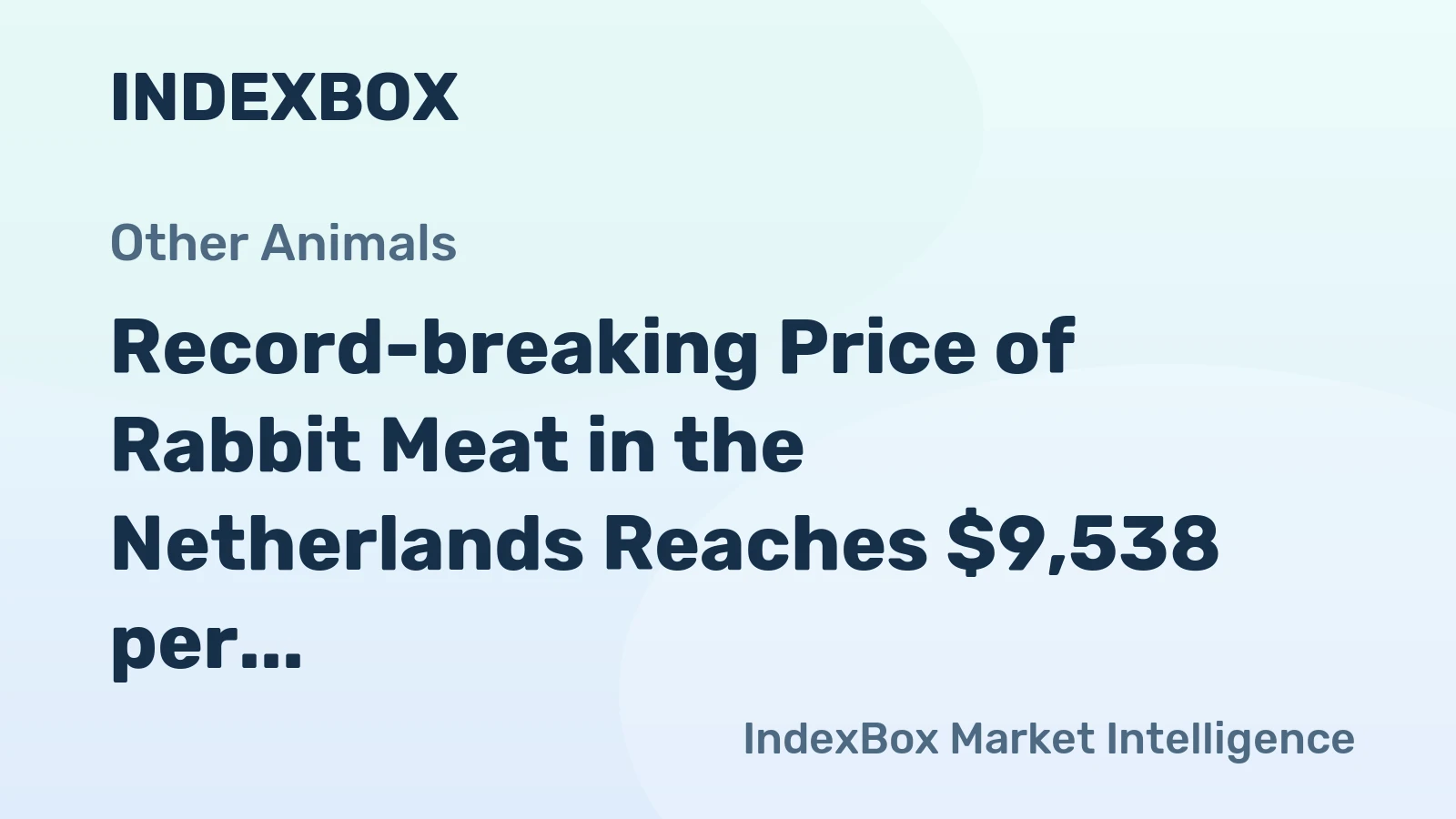 Record-breaking Price of Rabbit Meat in the Netherlands Reaches $9,538 per Ton