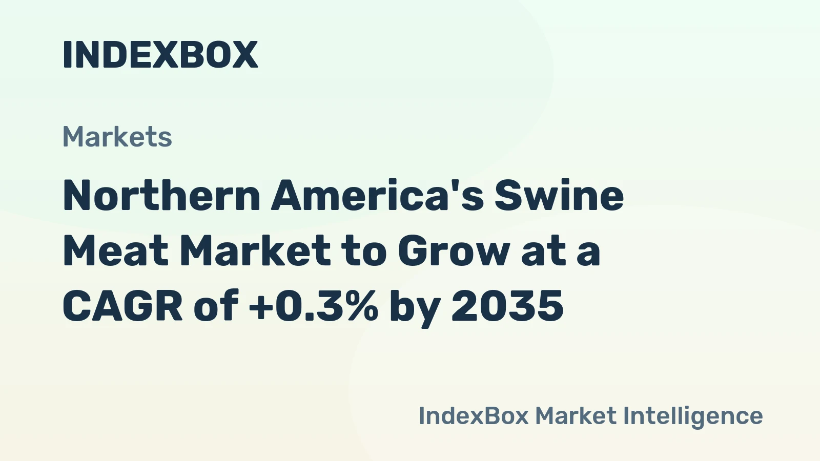 Northern America's Swine Meat Market to Grow at a CAGR of +0.3% by 2035