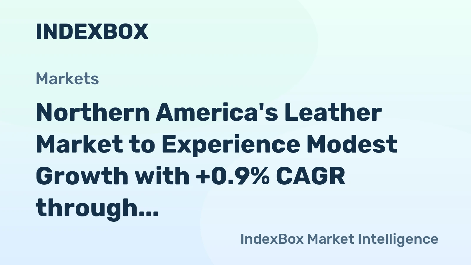 Northern America's Leather Market to Experience Modest Growth with +0.9% CAGR through 2035