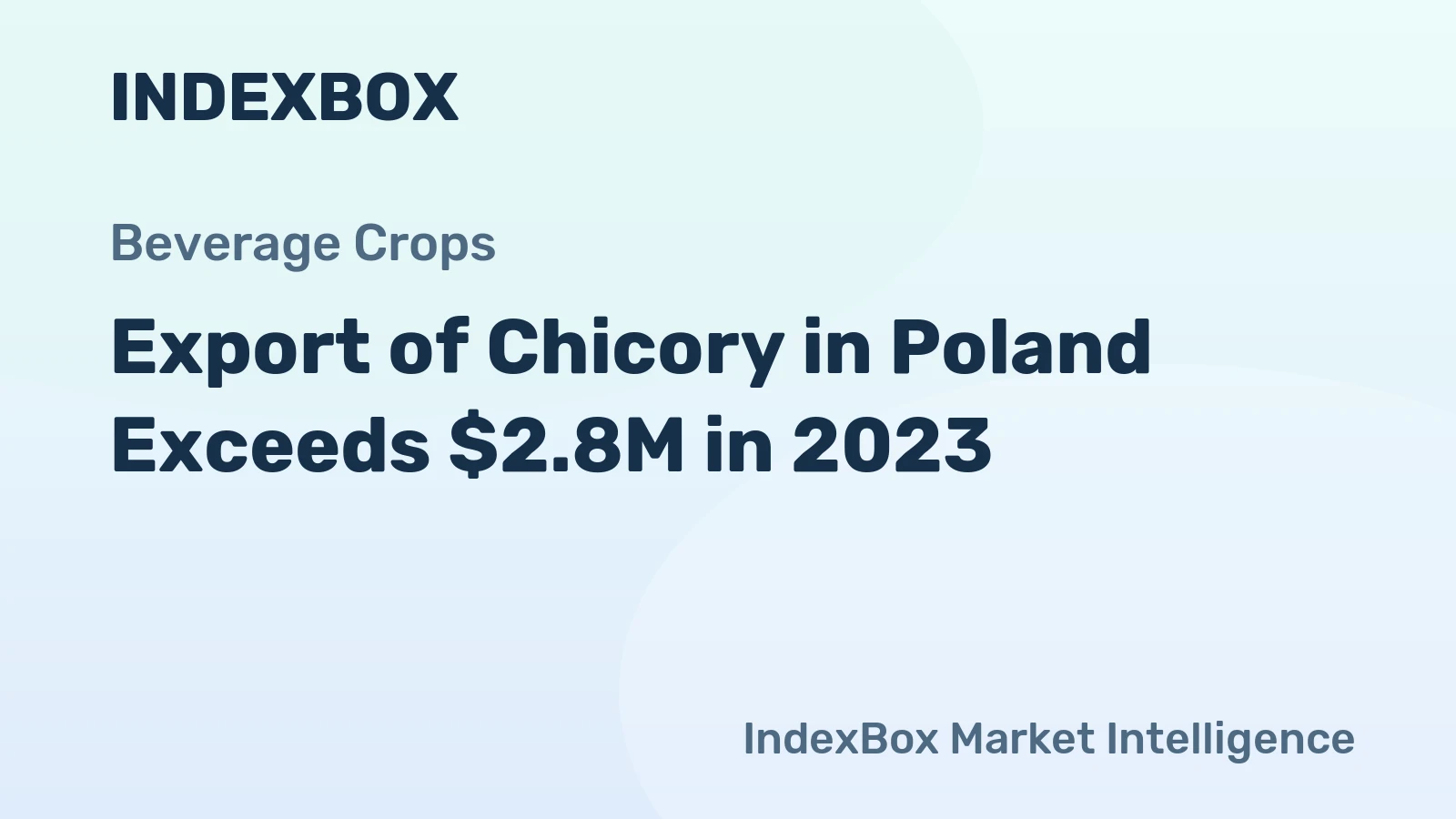Export of Chicory in Poland Exceeds $2.8M in 2023